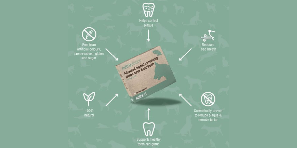 Win one of five boxes of Nutraplaque! - Your Cat