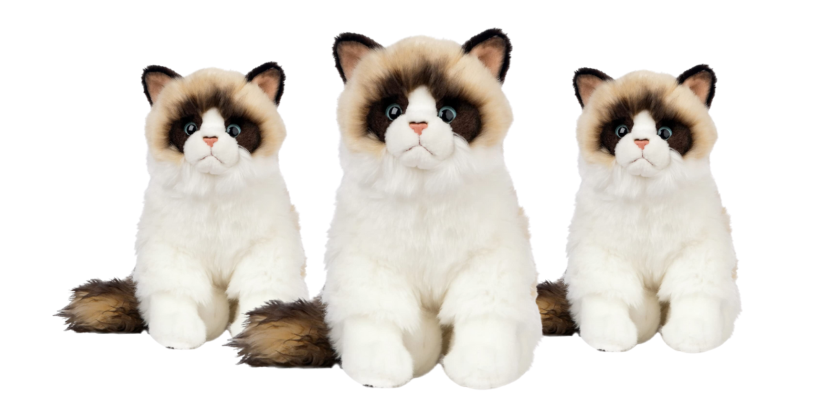 Win one of three Living Nature Ragdoll plushies! - Your Cat