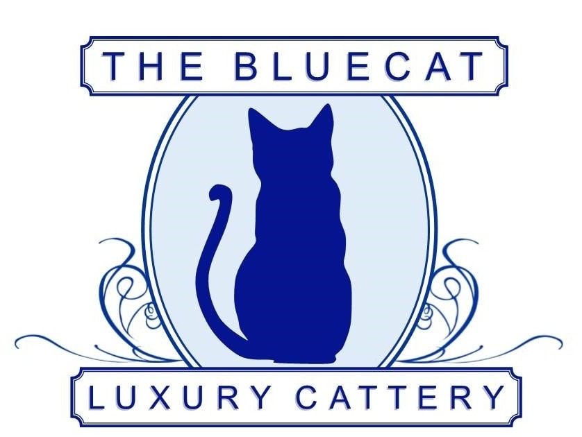 The Bluecat Cattery Ltd - Your Cat