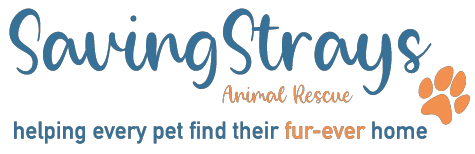 Saving Strays Animal Rescue - Your Cat