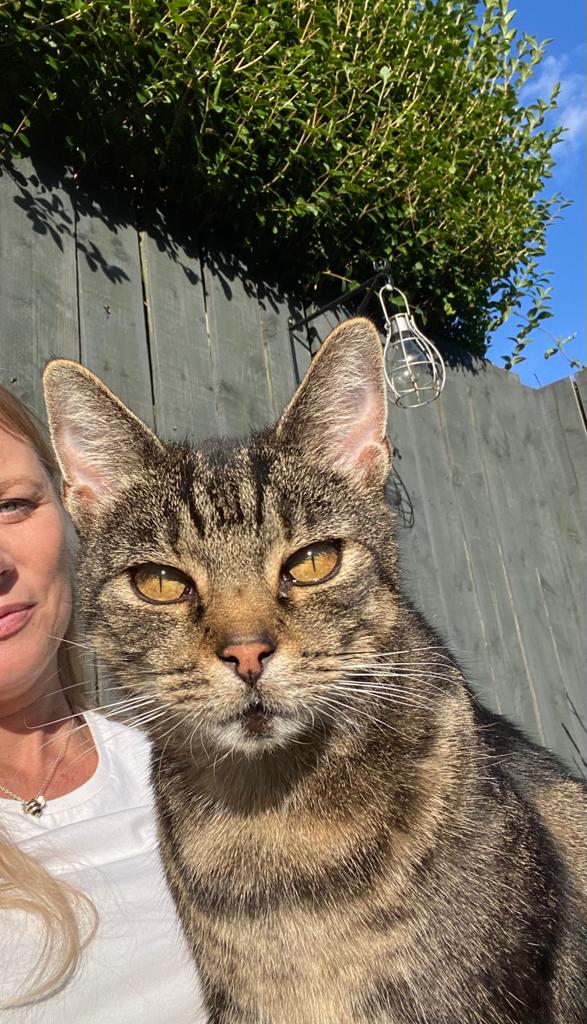 Dougie - Tanya Hanson - Your Cat