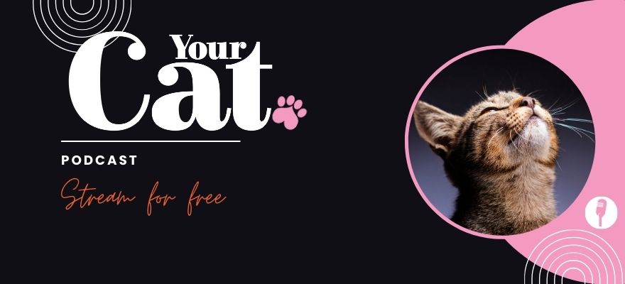Your Cat Magazine