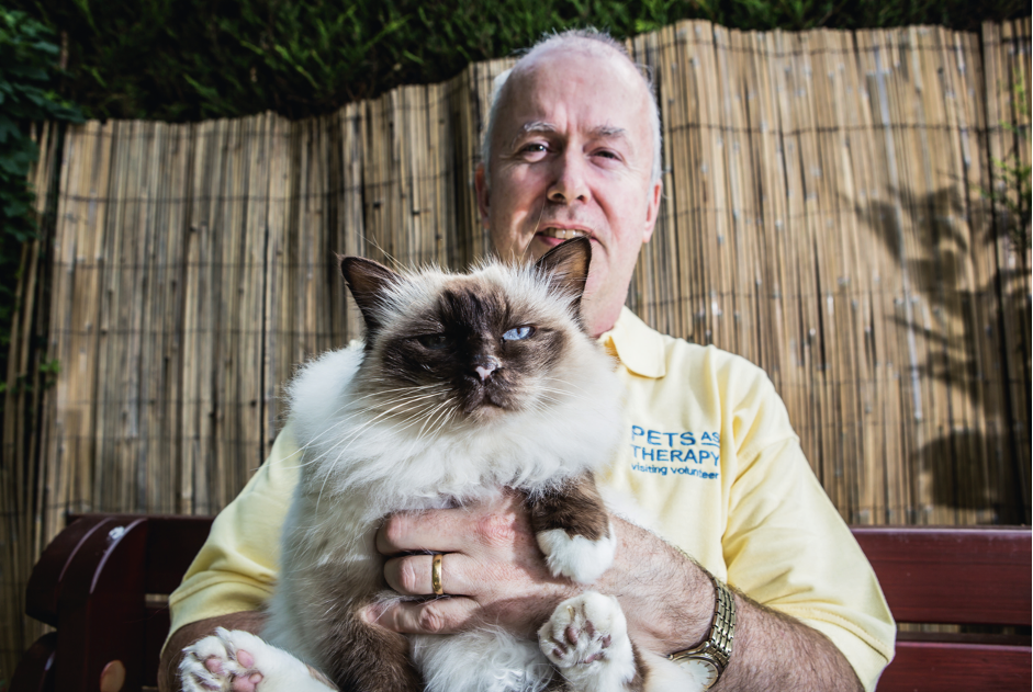 Becoming a therapy cat - Your Cat