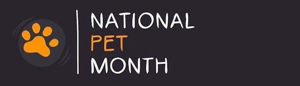 What is National Pet Month? - Your Dog