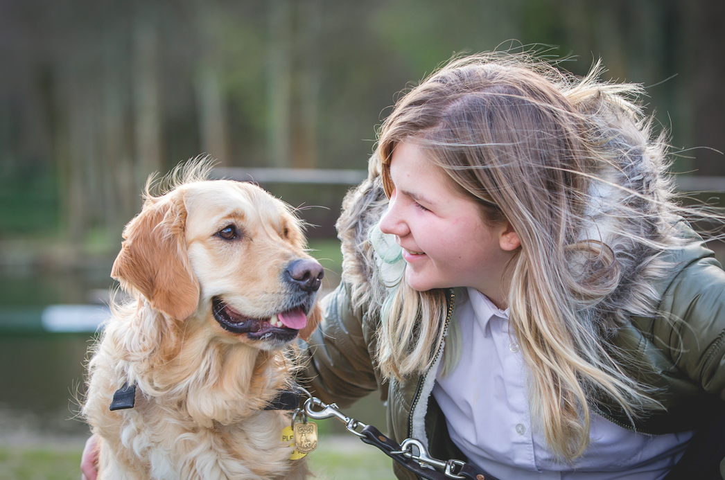 International Guide Dog Day! - Your Dog