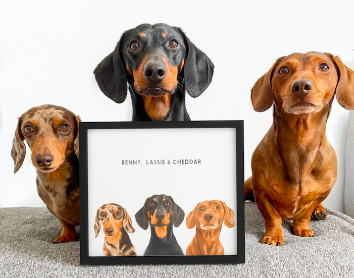 Your Dog Blog - Your Dog