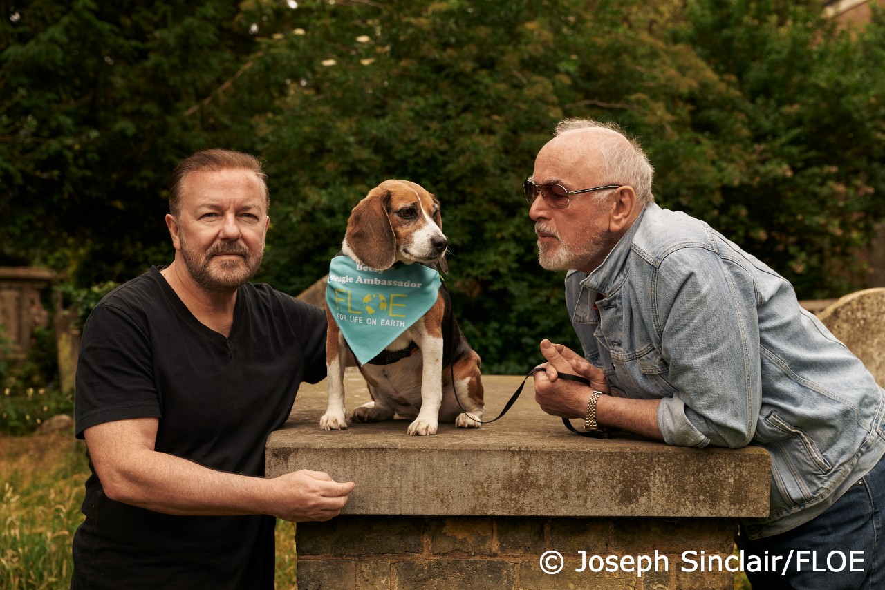 Dog-friendly Dumfries and Galloway - Your Dog