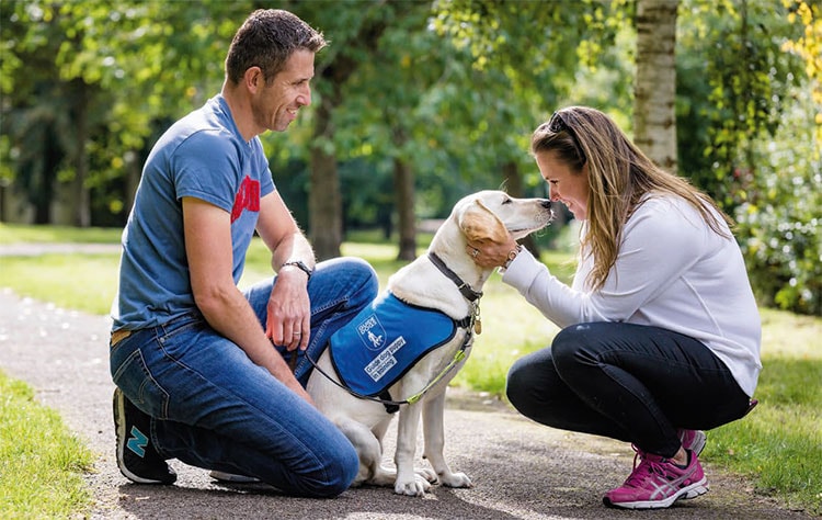 How to get your dog fix without owning a dog - Your Dog