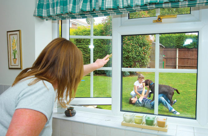 Discouraging mounting behaviour - Your Dog