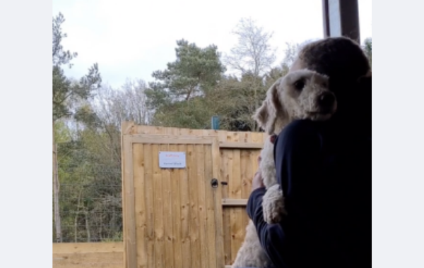 Heart-warming video of dog ‘hugging’ rescuer as she learns how to love ...
