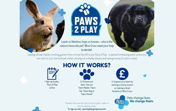 Your Dog Blog - Your Dog