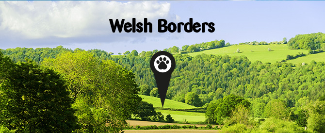 Dog-friendly Welsh Borders - Your Dog